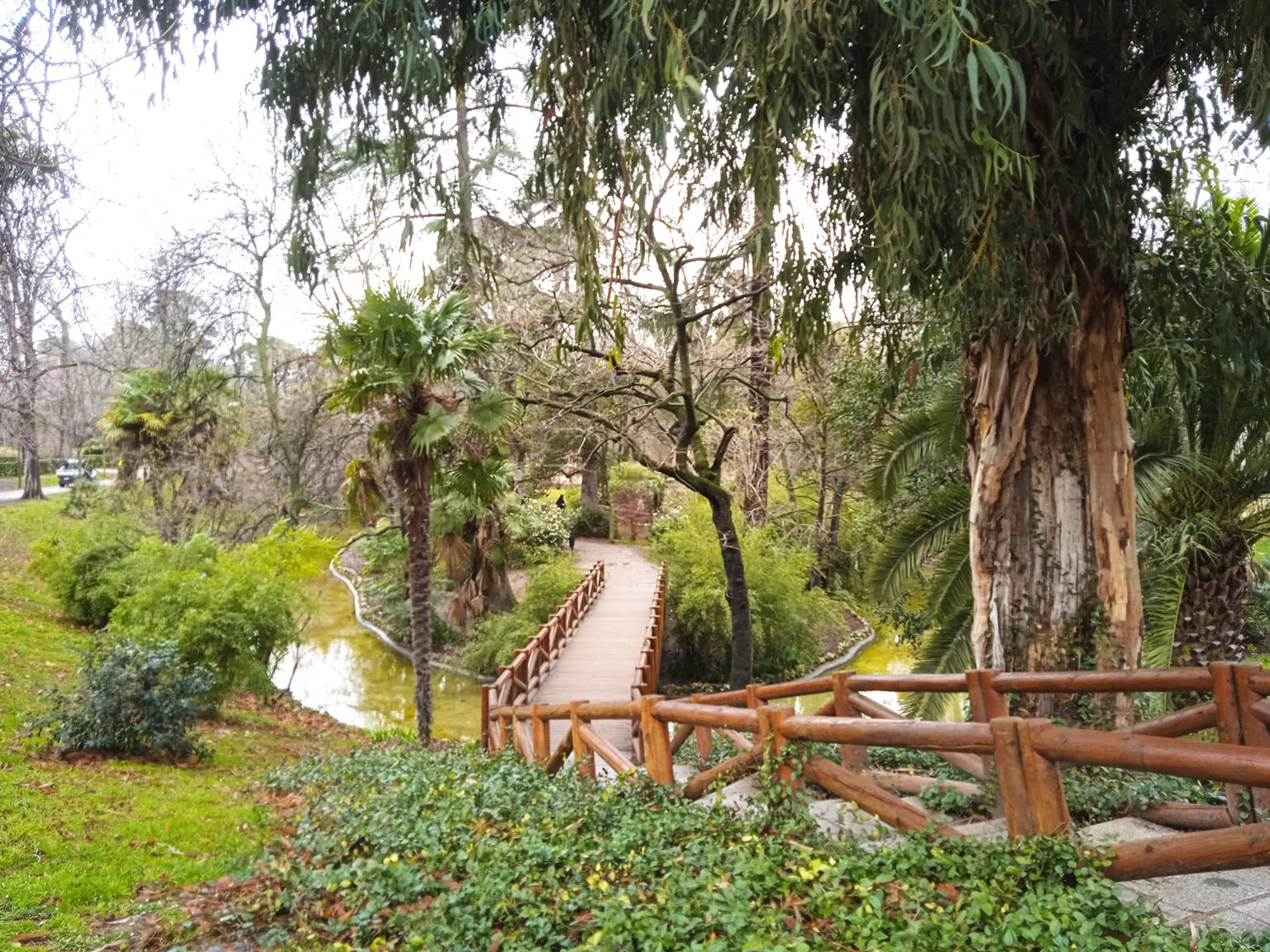 Il Parco del Retiro di Madrid Spagna | Visitare